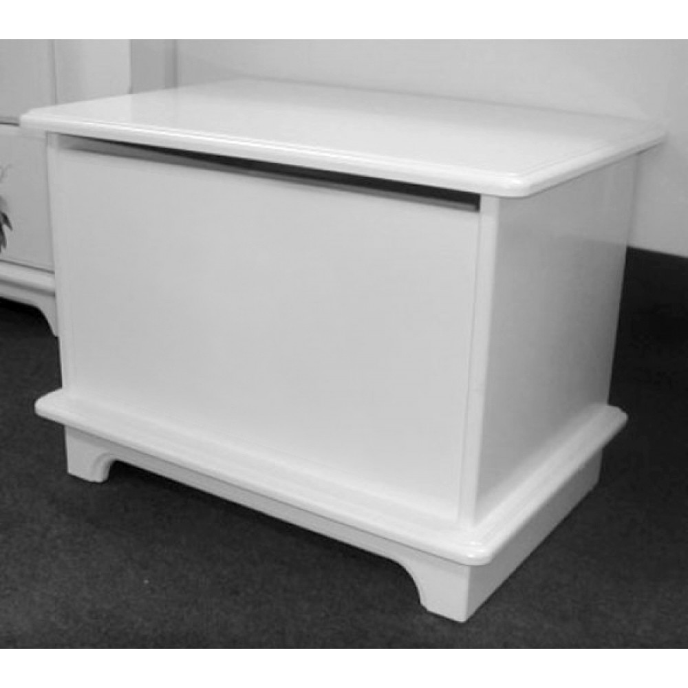 Toy Box 2ft #basic
